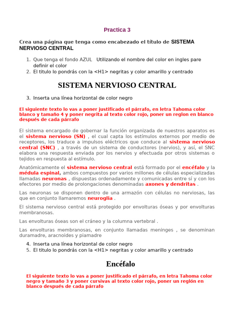 Practica 2 HTML ENE 2023 | PDF | Sistema nervioso | Sistema nervioso central