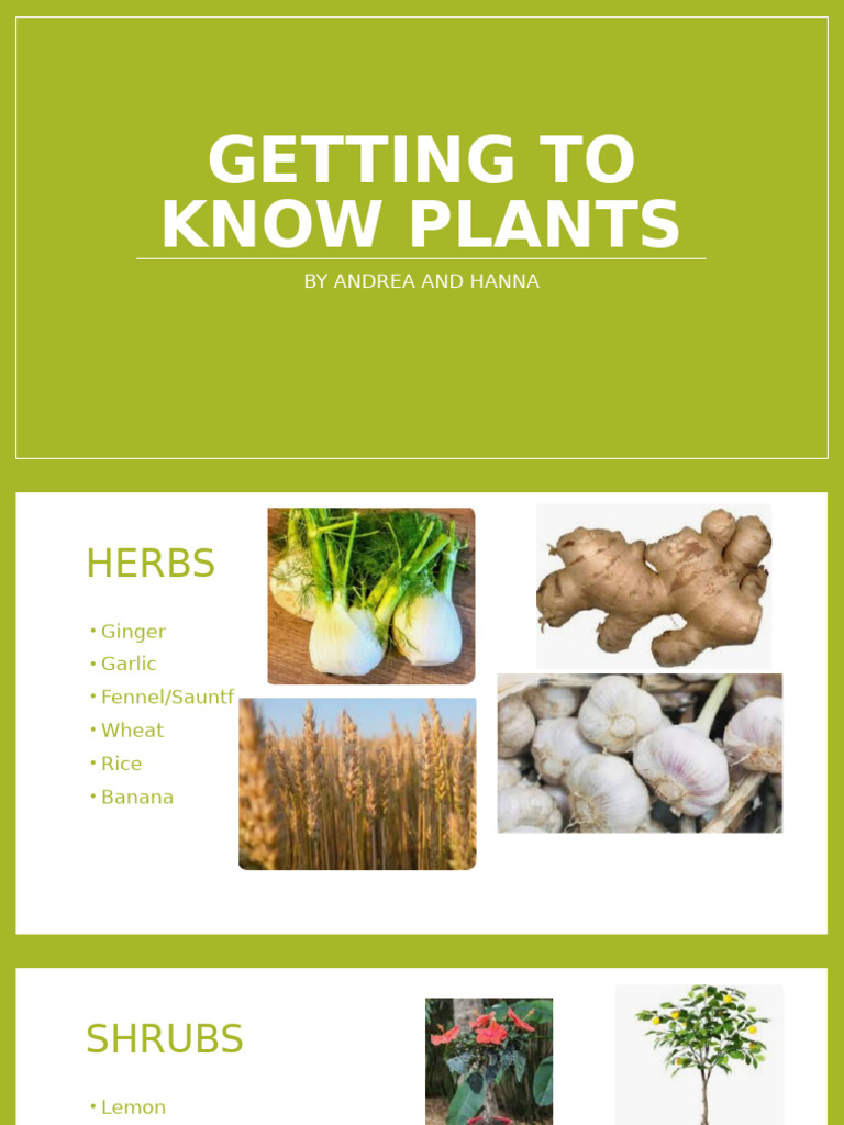 Plant Types and Characteristics Guide | PDF