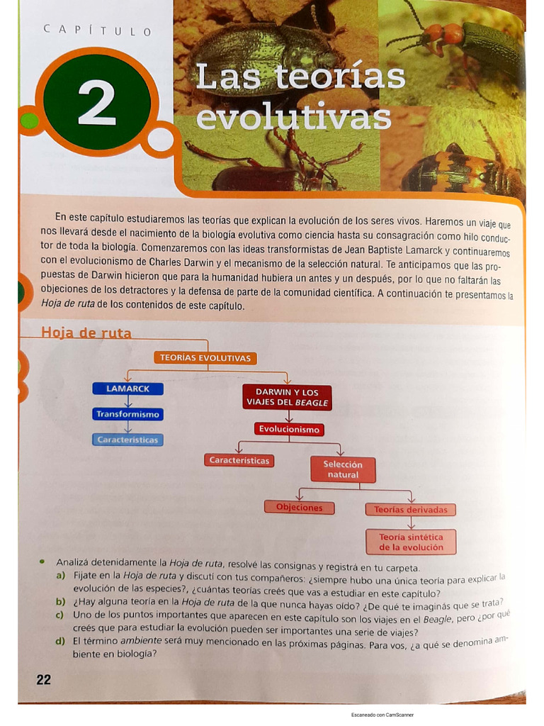 Las Teorías Evolutivas | PDF
