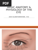 Cow Eye Dissection Lab Report | PDF | Eye | Human Eye