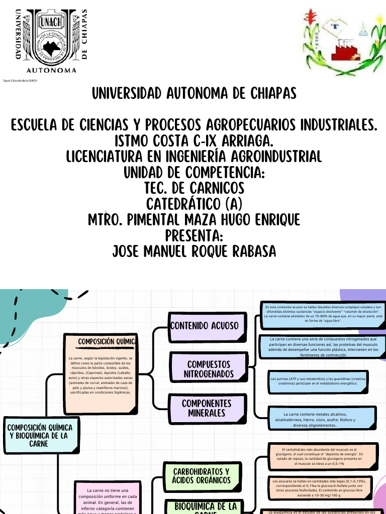 Actividad de Aprendisaje-Cuadro Sinóptico - Jose Manuel Roque Rabasa ...