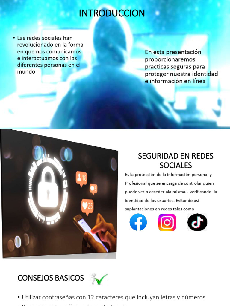 Seguridad En Redes Sociales Pdf