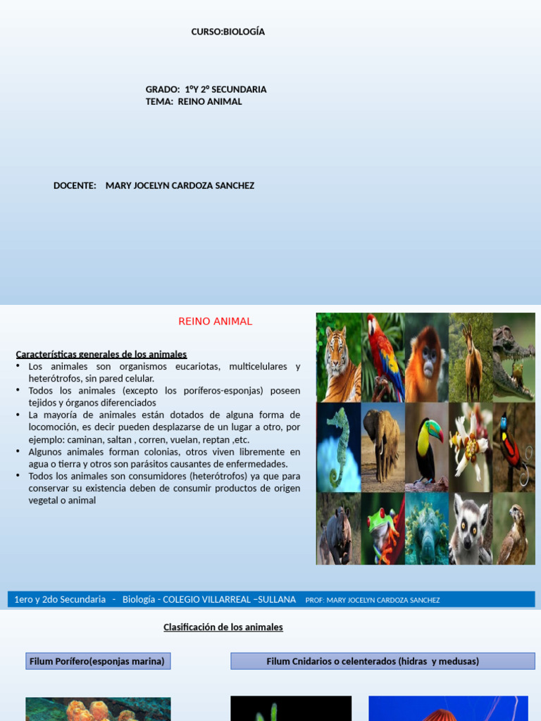 Características y Clasificación Animal | PDF | Biología