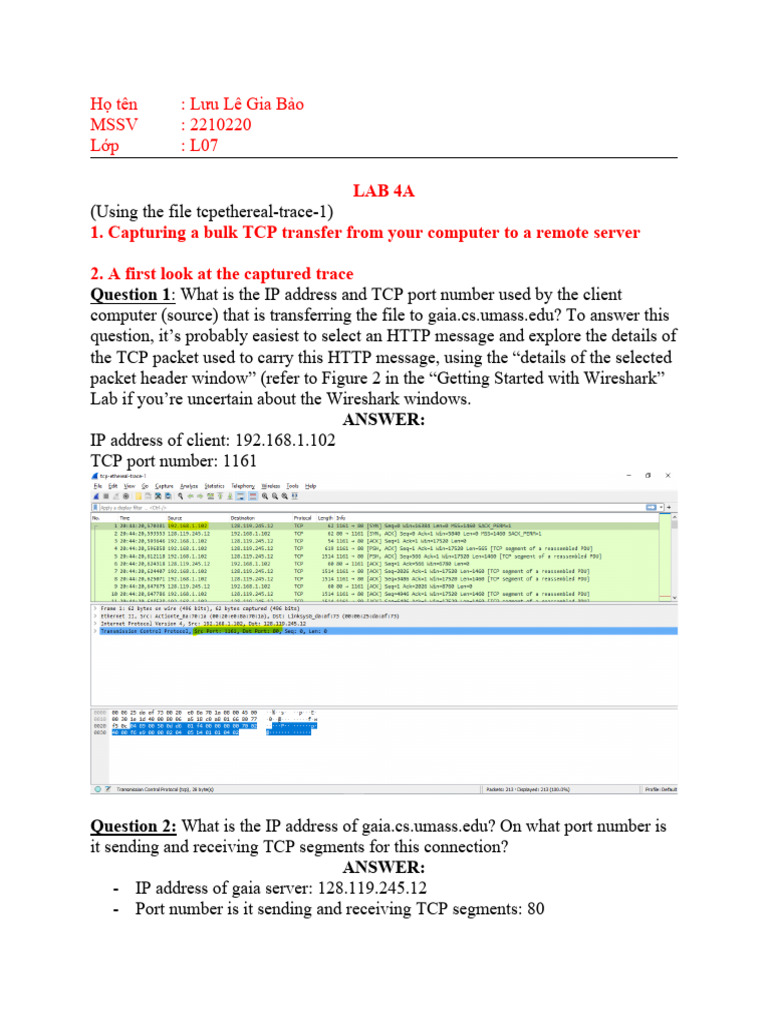 Lab 4a 2210220 | PDF | Transmission Control Protocol | Internet Standards
