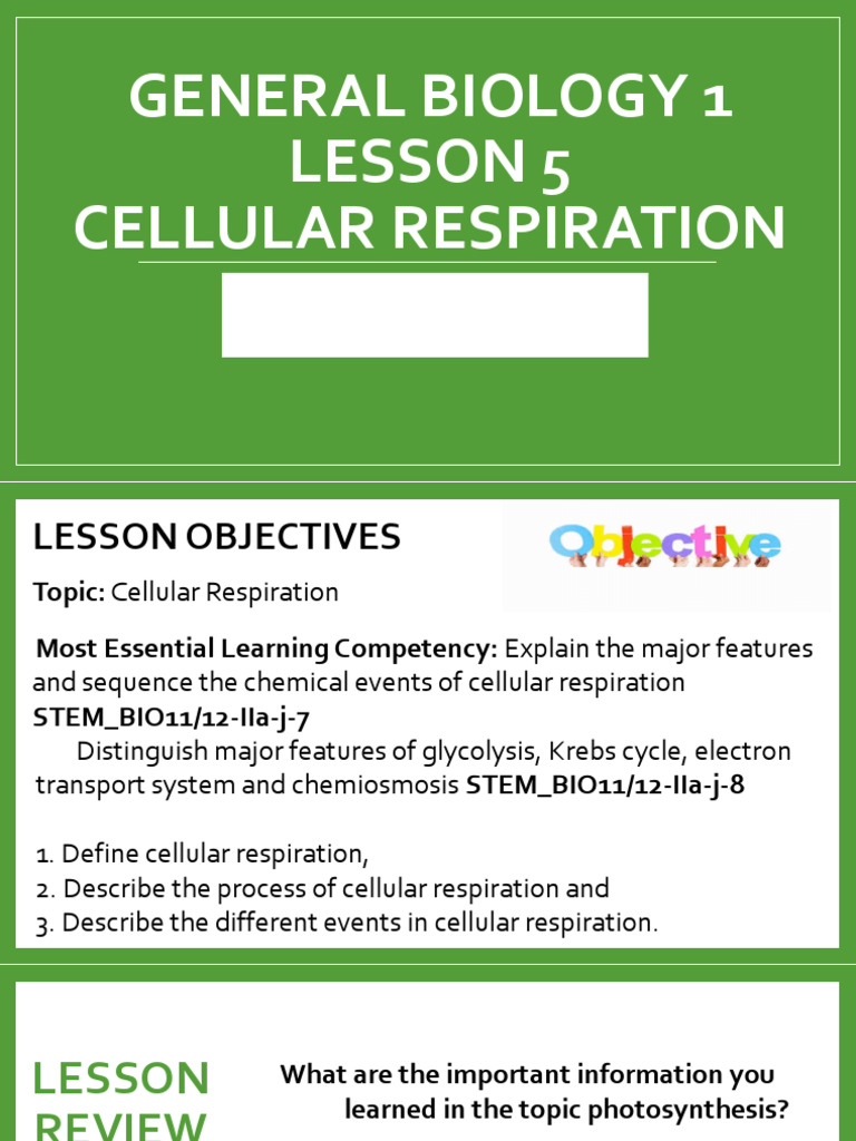 Cellular Respiration Overview | PDF | Cellular Respiration | Diet ...