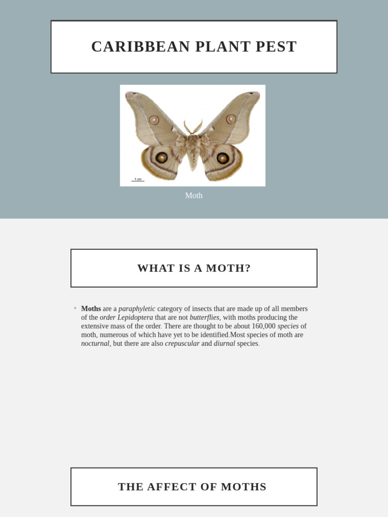 The Plant Pest Presentation | PDF