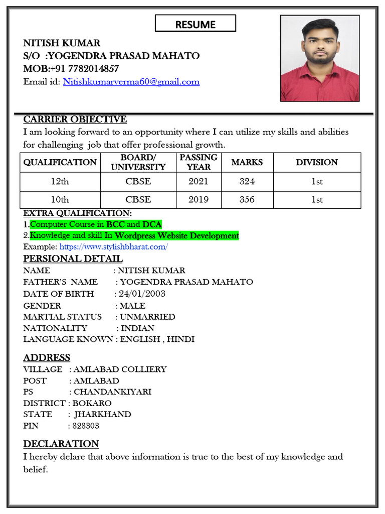 Nitish Kumar Resume | PDF