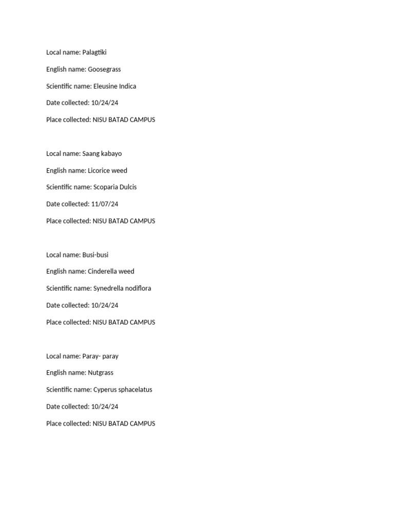 Common Weeds Collected at NISU Batad | PDF