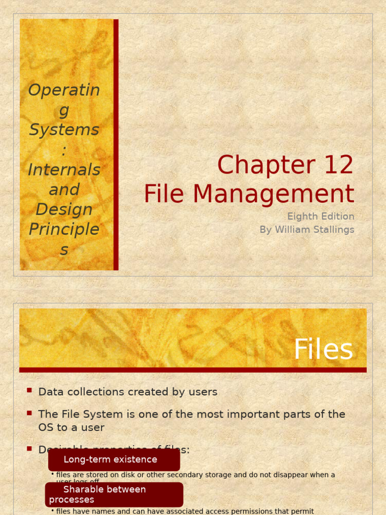 Lecture 11-File Management | PDF | Computer File | File System