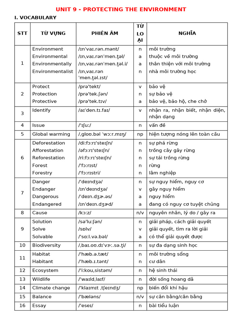 Unit 9 - Vocab | PDF