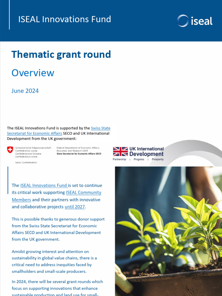 Overview - Thematic Grant Round - Livelihoods and Economic Wellbeing (June 2024) - ISEAL ...