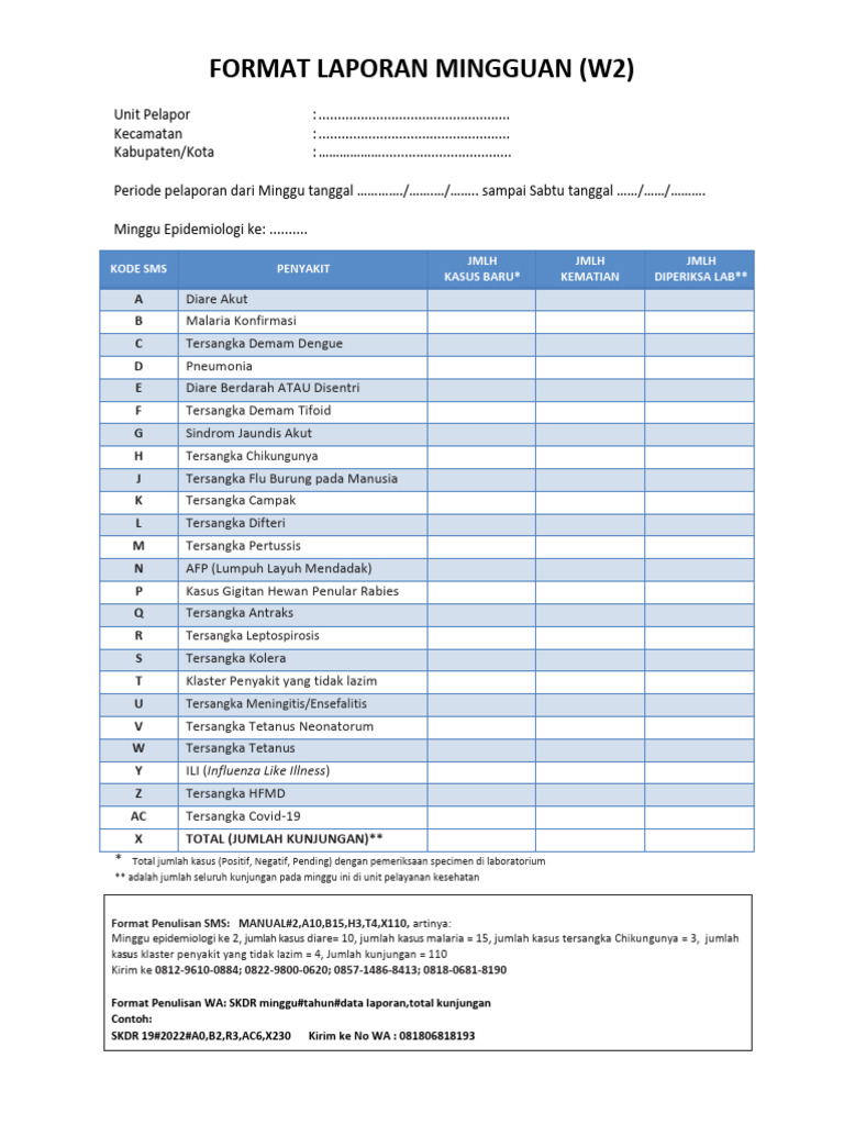 Format Laporan Mingguan (W2) | PDF