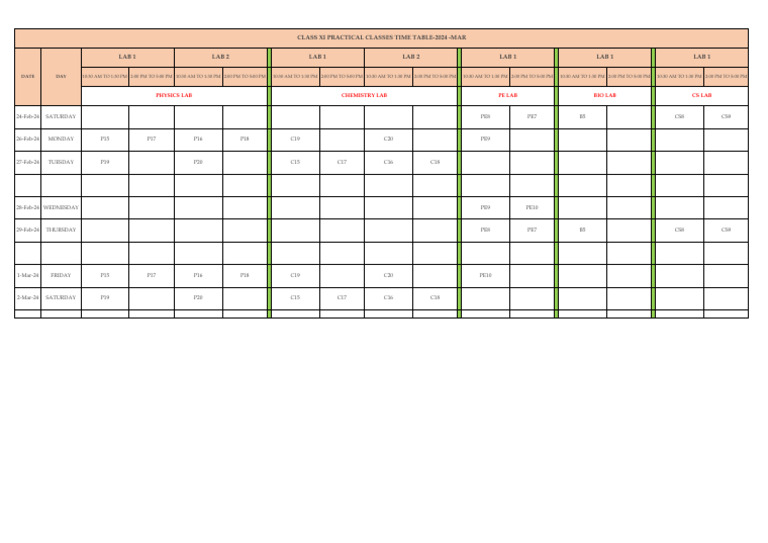 Mar Class Xi Practical Time Table | PDF