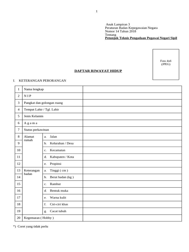 Formulir Data PNS | PDF
