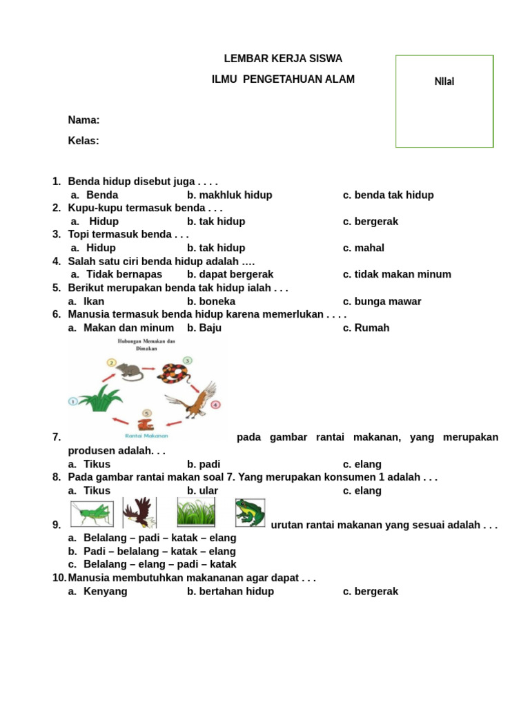 LEMBAR KERJA SISWA Cila | PDF