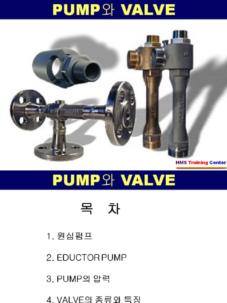 Pump & Valve | PDF