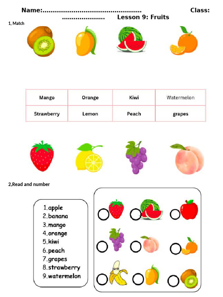 B9 Fruits | PDF