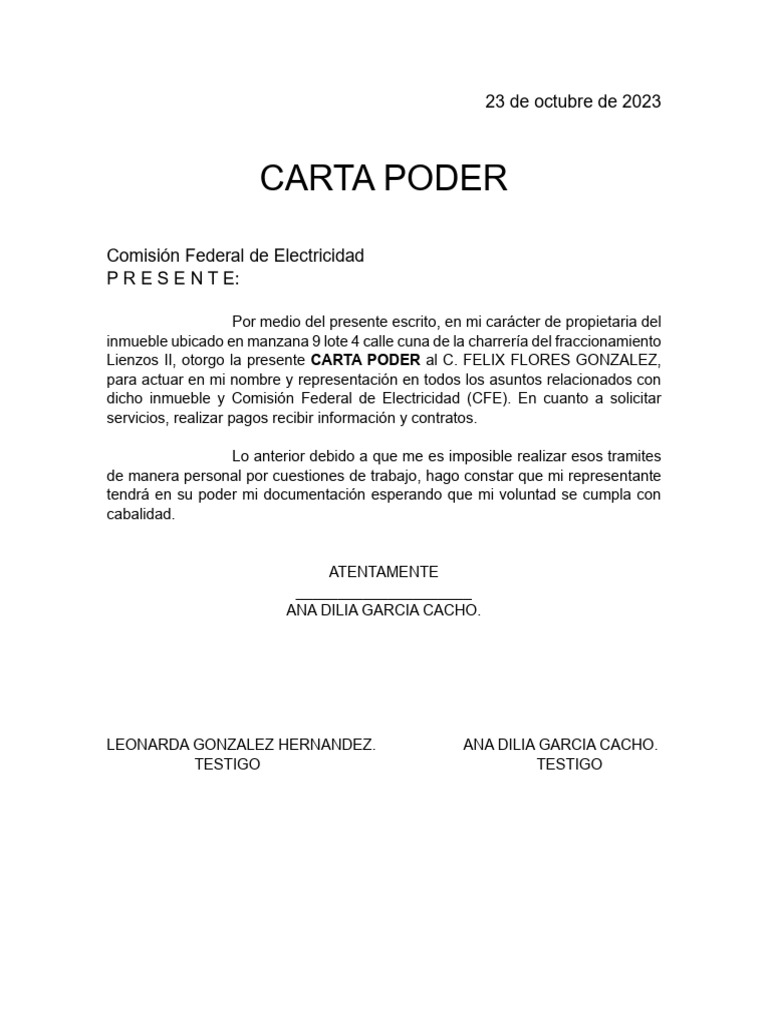 Carta Poder para CFE: Ana Dilia García | PDF