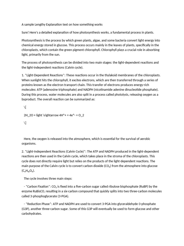 A Sample Lengthy Explanation Text On How Something Works | PDF ...