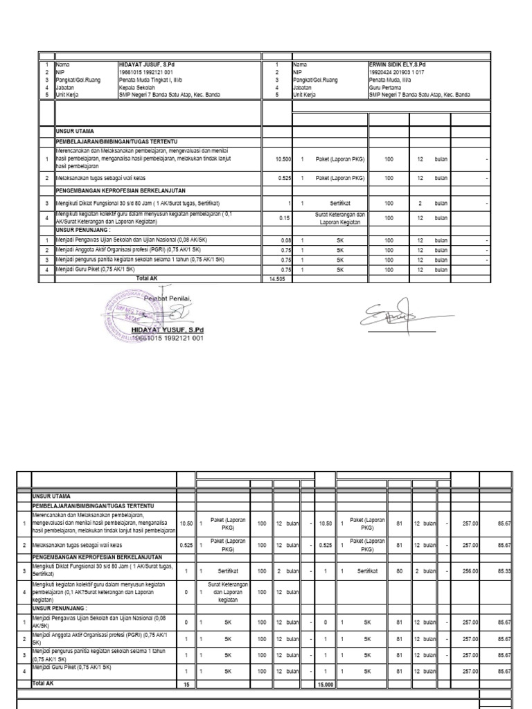 Erwin SKP 2020 | PDF