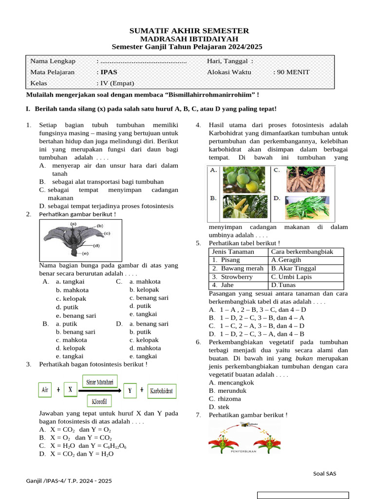 SOAL 'SAS' IPAS - 4 New | PDF