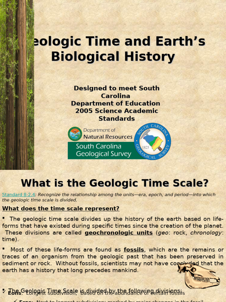 Geologic Time | PDF | Geologic Time Scale | Fossil