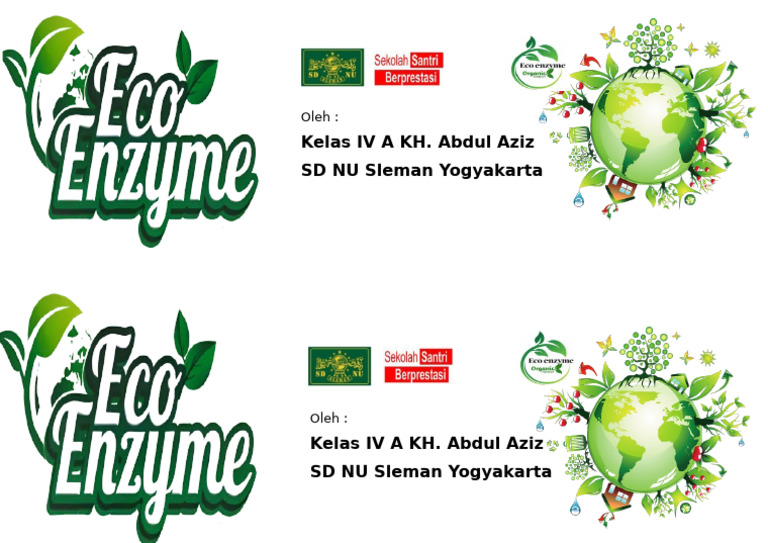 Eco Enzyme | PDF
