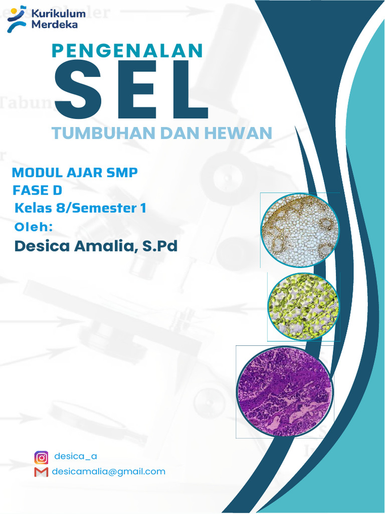 Modul Ajar Ilmu Pengetahuan Alam (IPA) - Pengenalan Sel - Fase D PDF | PDF