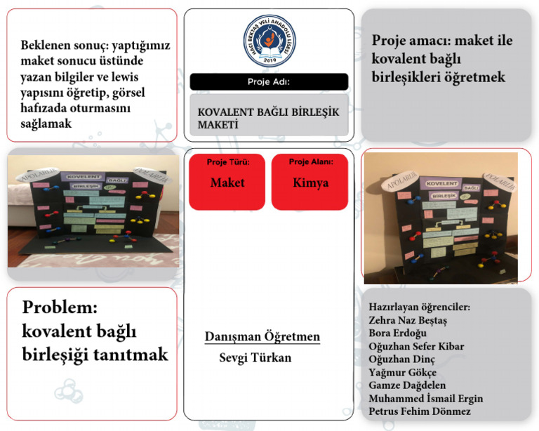 Proje Odevi Ornek | PDF