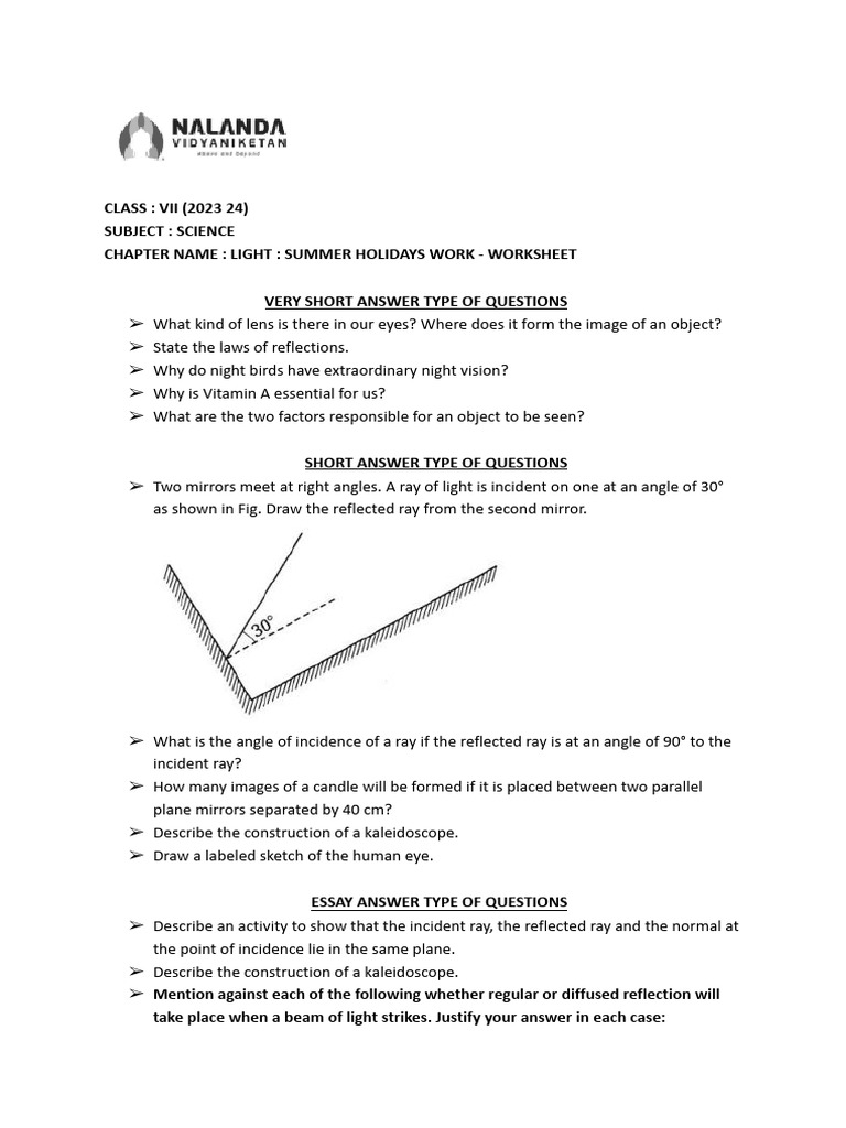 Class VIII 13. Light Worksheet | PDF