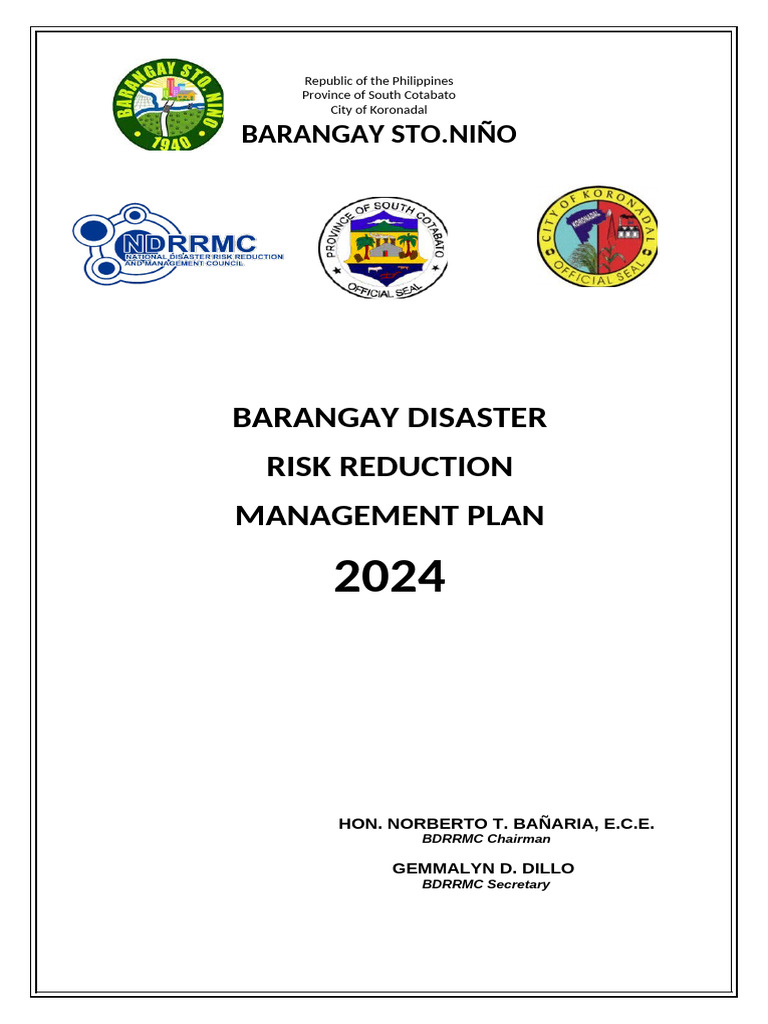 BDRRMC 2024 Plan 3 5 24 | PDF | Emergency Management | Disaster Risk ...