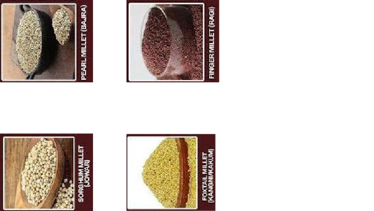Millets | PDF