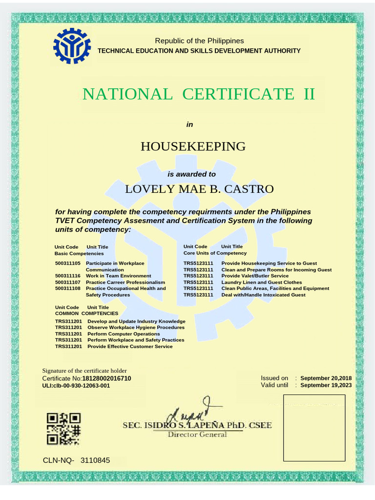National Certificate Ii: Housekeeping | PDF