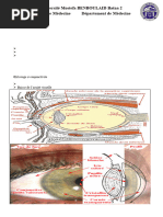 Les Collyres en Ophtalmologie | PDF | Glaucome | Ophtalmologie