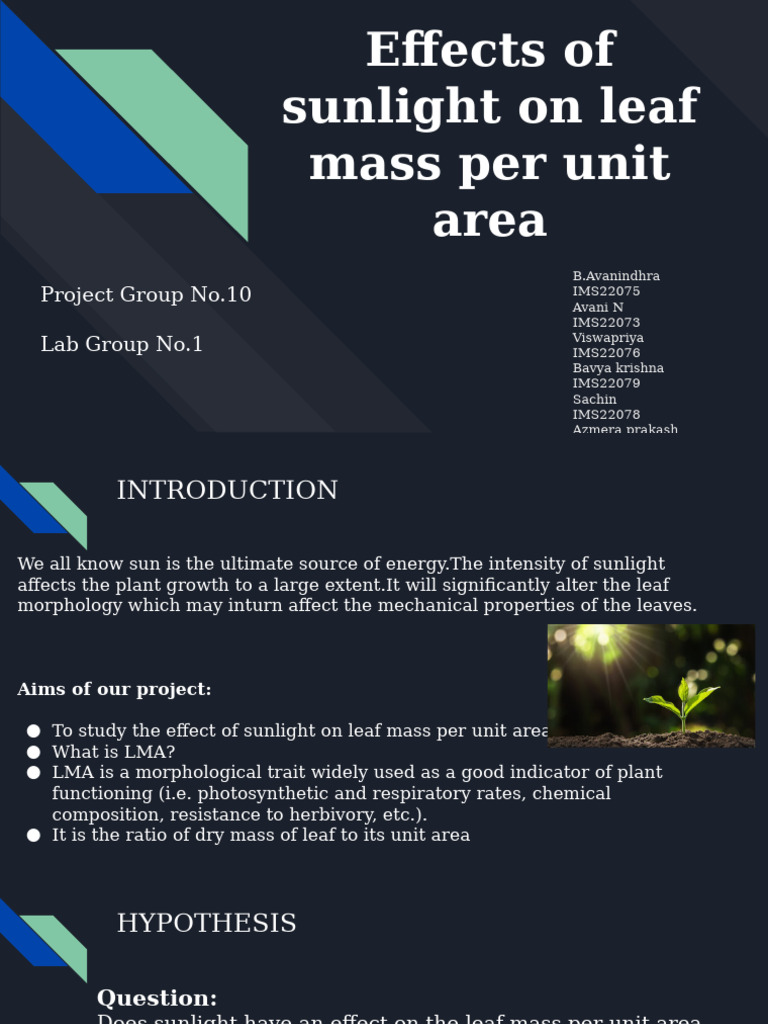 Effects of Sunlight On Leaf Mass Per Unit Area | PDF | Leaf | Plants
