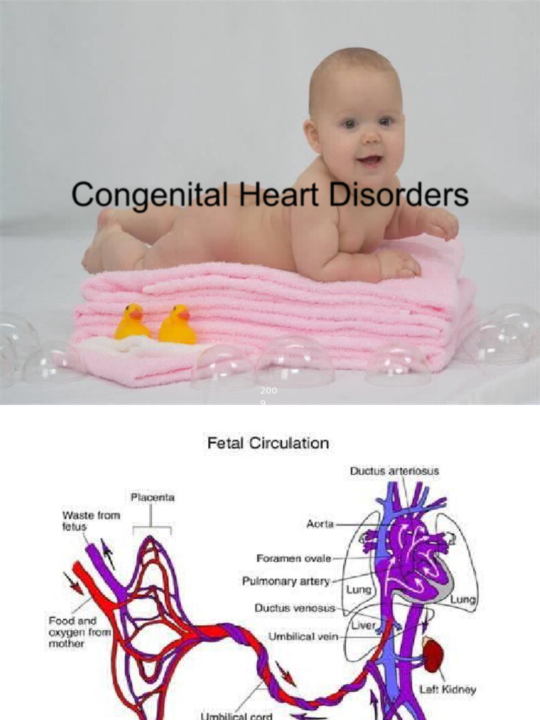 For Students Congenital Heart Diseases | PDF | Congenital Heart Defect ...