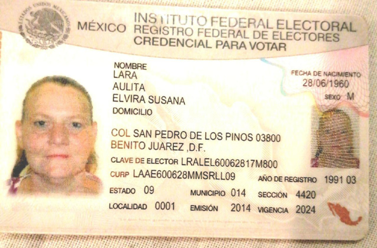 3.-Ine Elvira Susana Lara Aulita | PDF