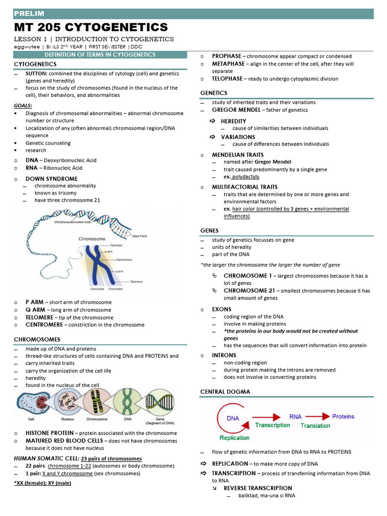 (Prelim Lec) L1 Intro To Cytogenetics | PDF | Chromosome | Genetics