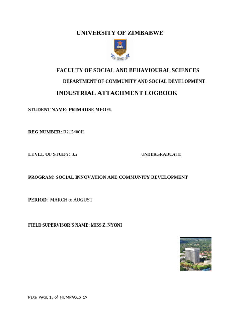 CSD INDUSTRIAL ATTACHMENT LOGBOOK 2024.docx Final | PDF | Gender ...