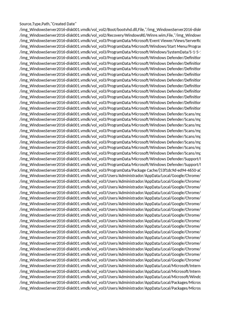 Windows Server 2016 File Paths | PDF | Microsoft Windows | Internet Explorer