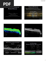 Optical Coherence Tomography (OCT) Handbook | PDF | Visual System ...