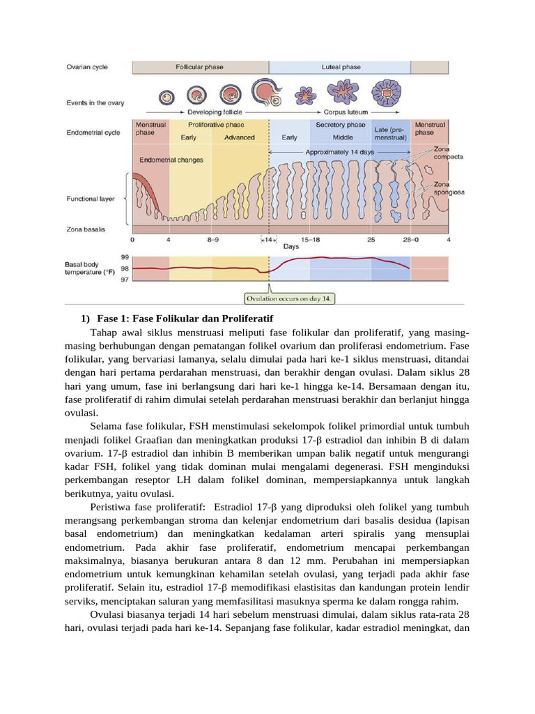 Siklus Menstruasi | PDF