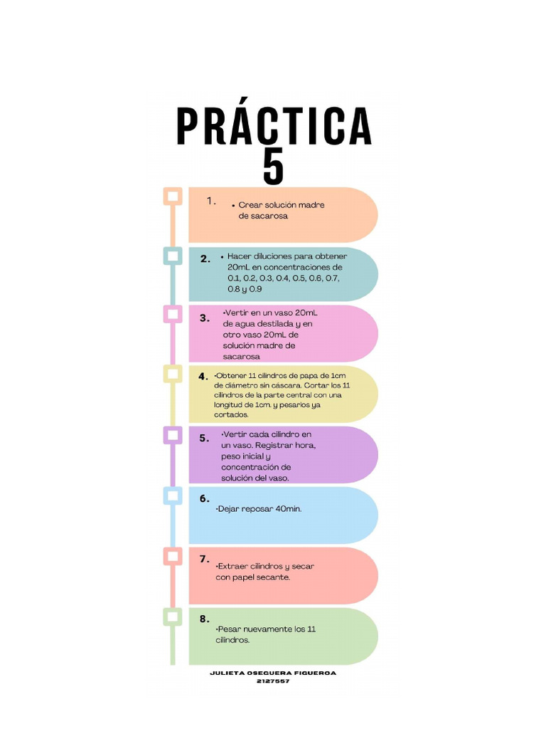 Pract 5 Morfoplant | PDF