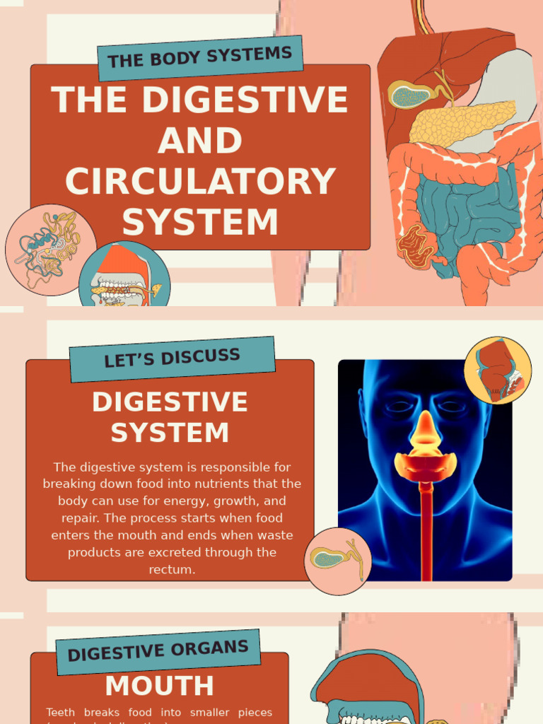 The Digestive System Science Educational Presentation in Dark Orange ...
