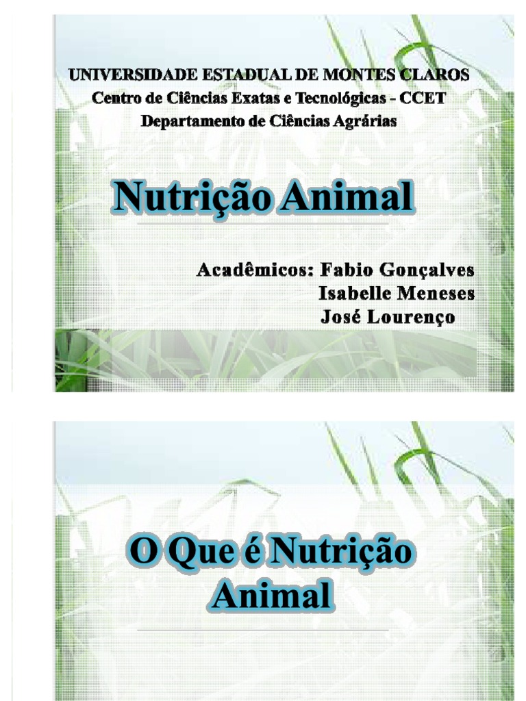 Nutrição Animal