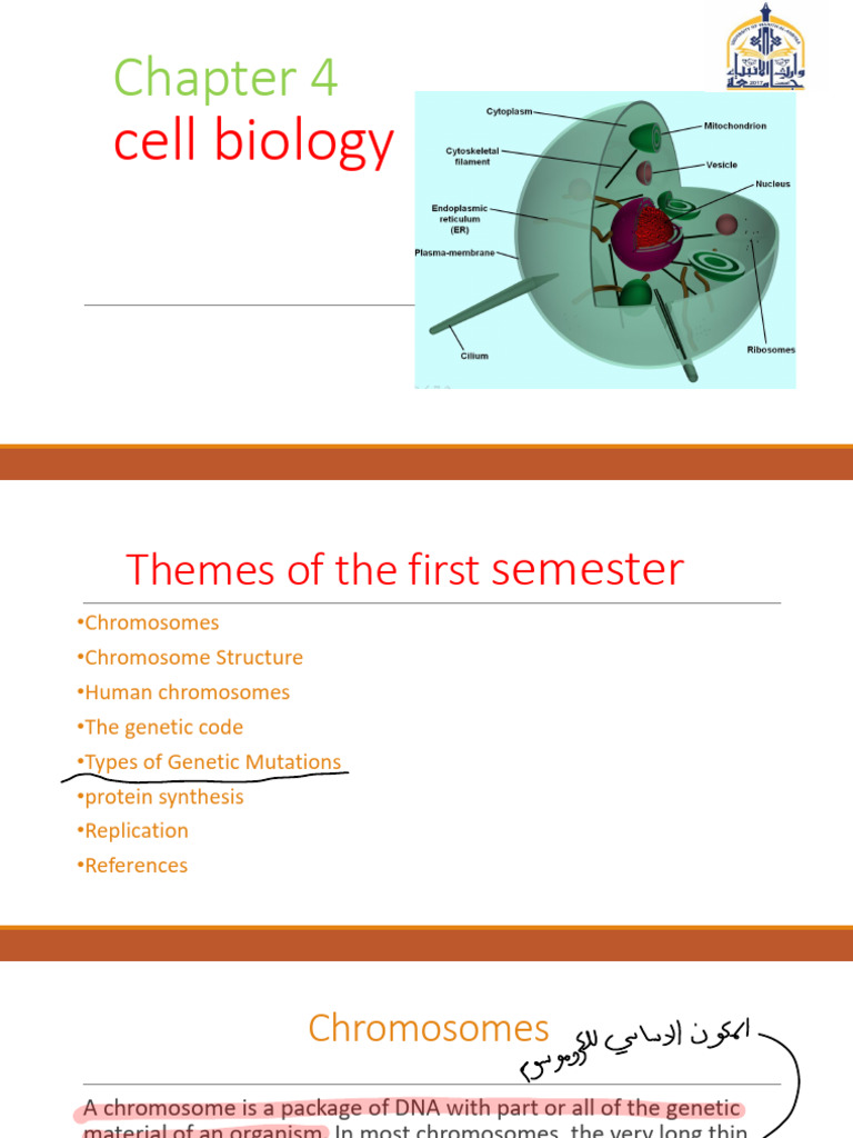 Cell Biology Chapter 4++ | PDF | Gene | Messenger Rna