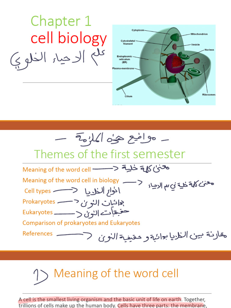 Chapter 1 Cell Biology | PDF | Cell (Biology) | Eukaryotes