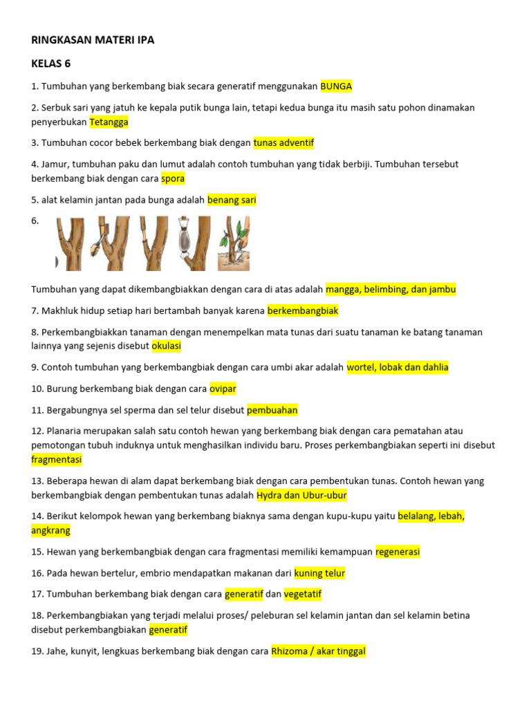 RINGKASAN MATERI IPA Kelas 6 | PDF