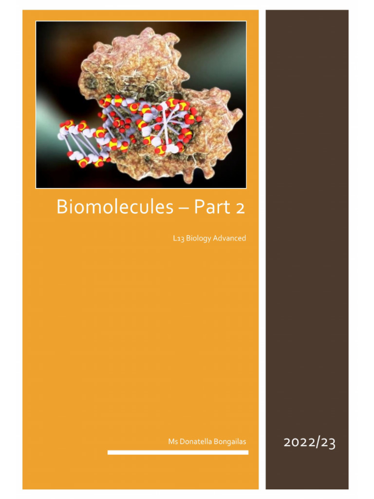 Biomolecules - Part 2 (Enzymes) | PDF