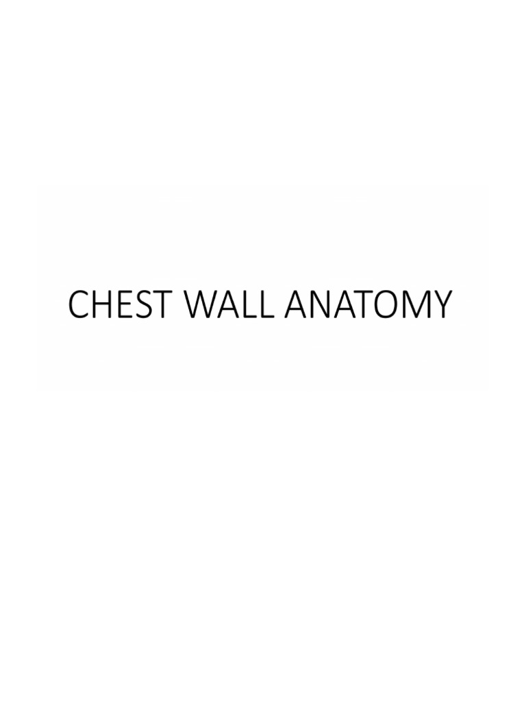 Chest Wall Anatomy | PDF | Thorax | Vertebra